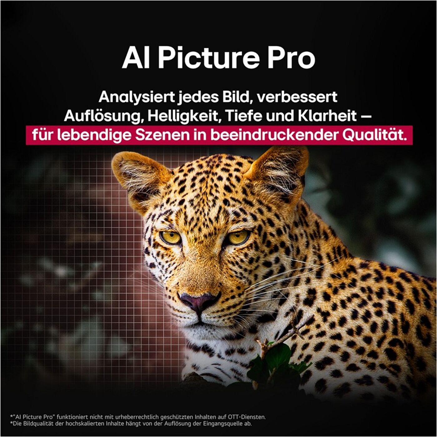 LG OLED 48 C 58 LA Xklusiv| 50,- Cashback - Enzinger